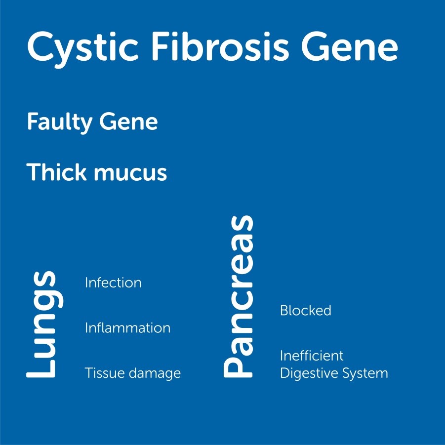 About Cystic Fibrosis - Butterfly Trust